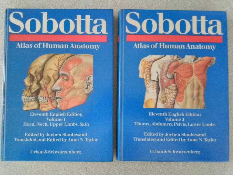 Sobotta Atlas Of Human Anatomy Sobotta Anatomy Atlas ZVAB