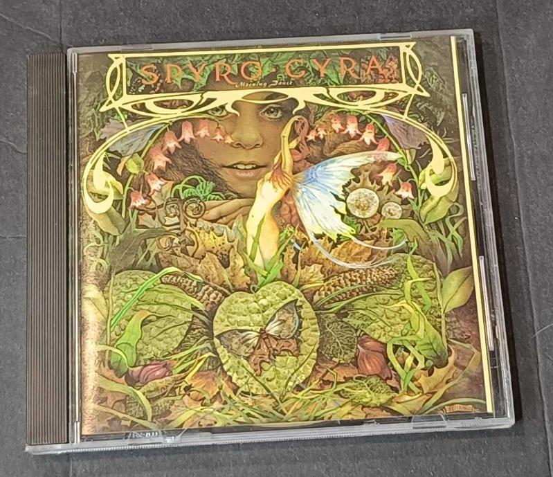 Spyro Gyra Morning Dance Art