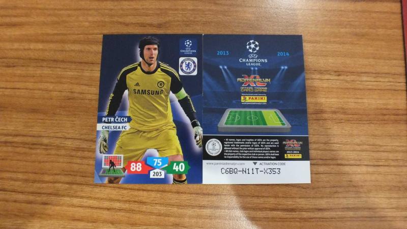 Chelsea Fc Cech 2013